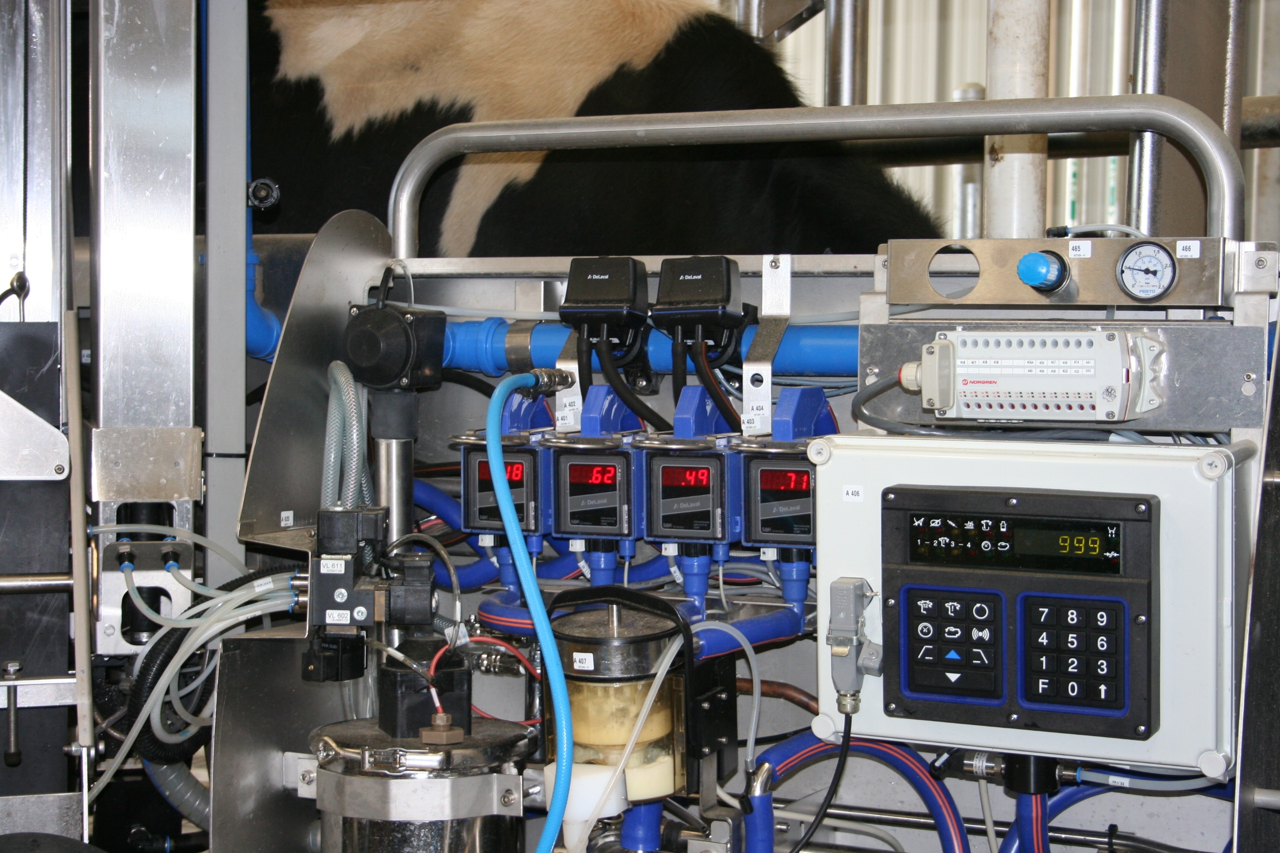 Diploma in Dairy Technology | Vidya University | One-Year Program